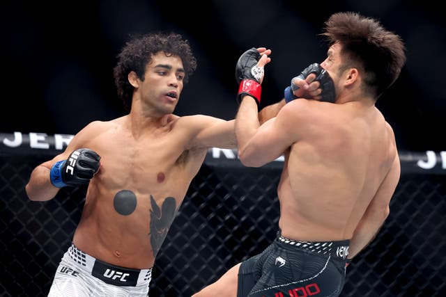 UFC 323 live: Merab Dvalishvili vs Petr Yan results and updates as ...