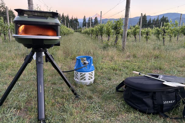 Best Portable Grills for 2026, Expert-Tested on Camping Trip Cookouts ...