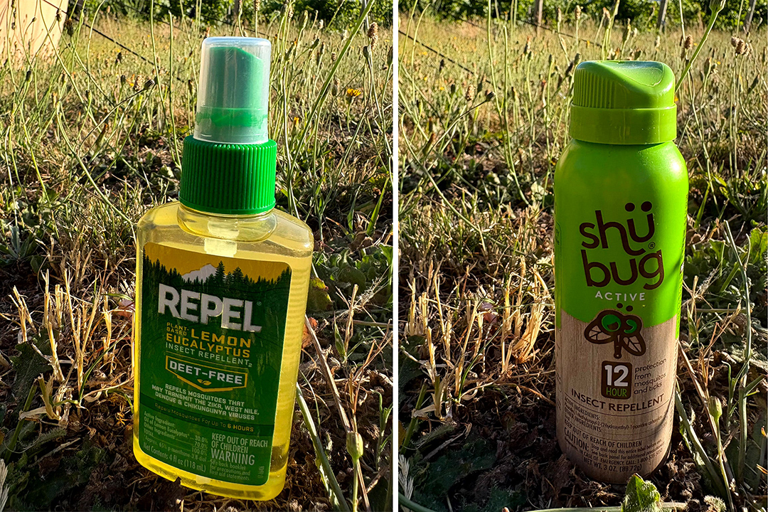 The 6 Best Bug Sprays for 2026, Tested and Reviewed on Camping Trips ...