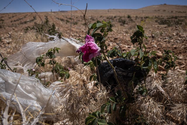 Plastic bags can’t go in household recycling bins – here’s what to do ...